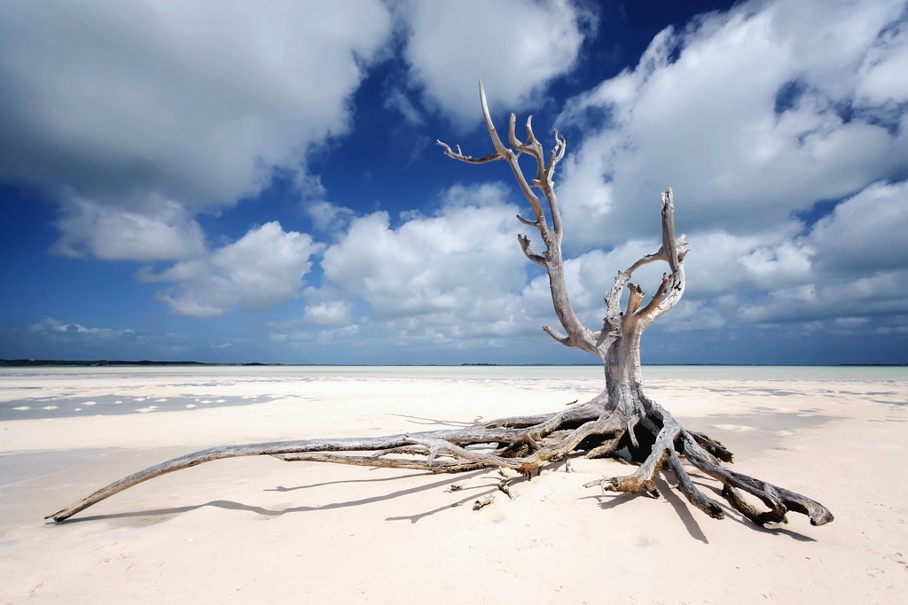 Eleuthera – Crotchety Man