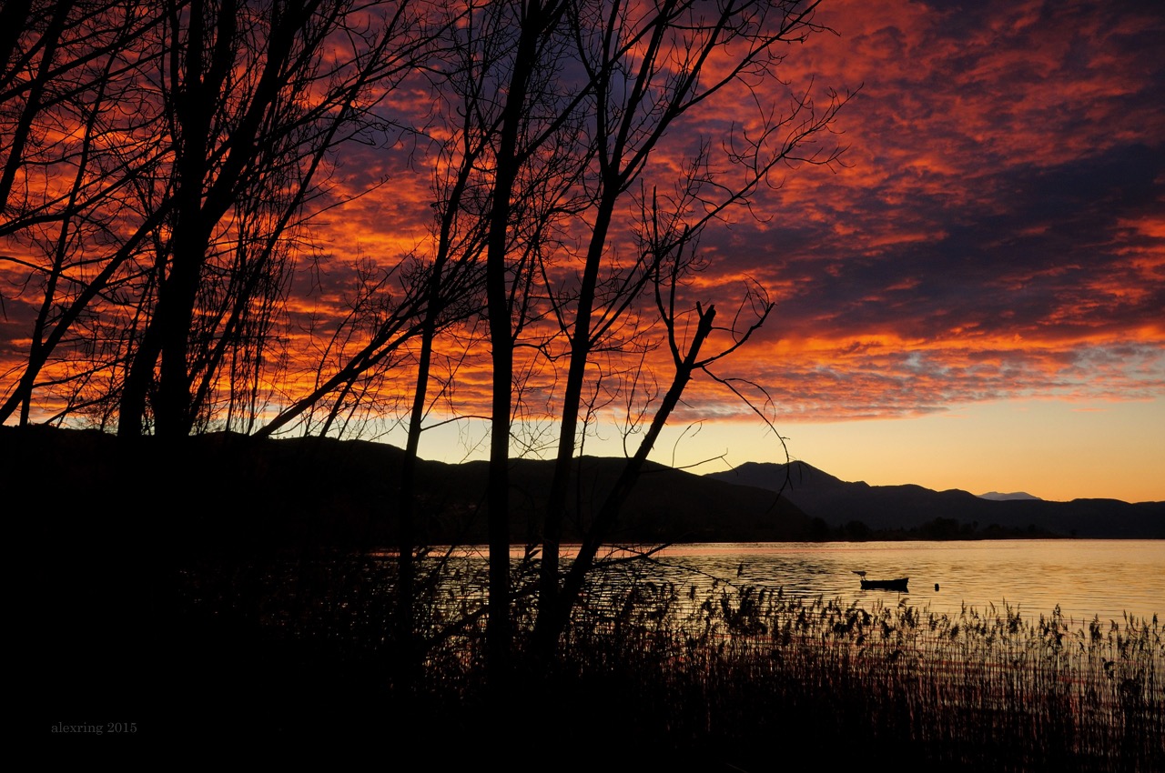 Longing for the Dawn – Crotchety Man